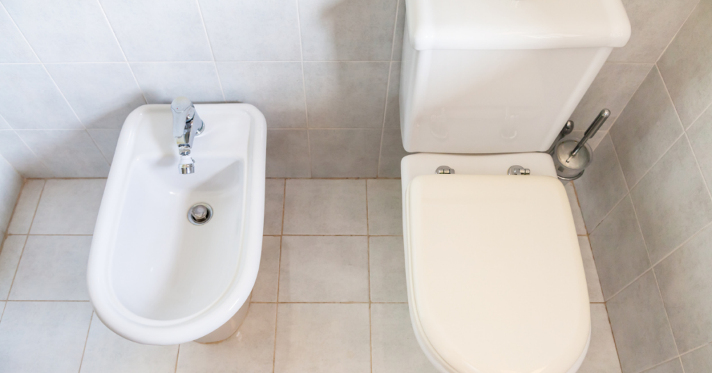 Bidet Services - Glacier Plumbing and Hydronics LLC